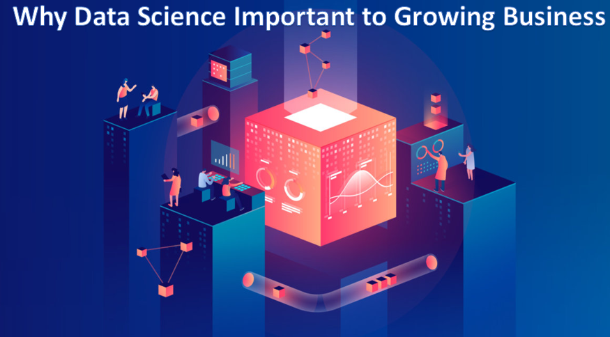 Why Data Science is Important to Growing Business - Techprofree
